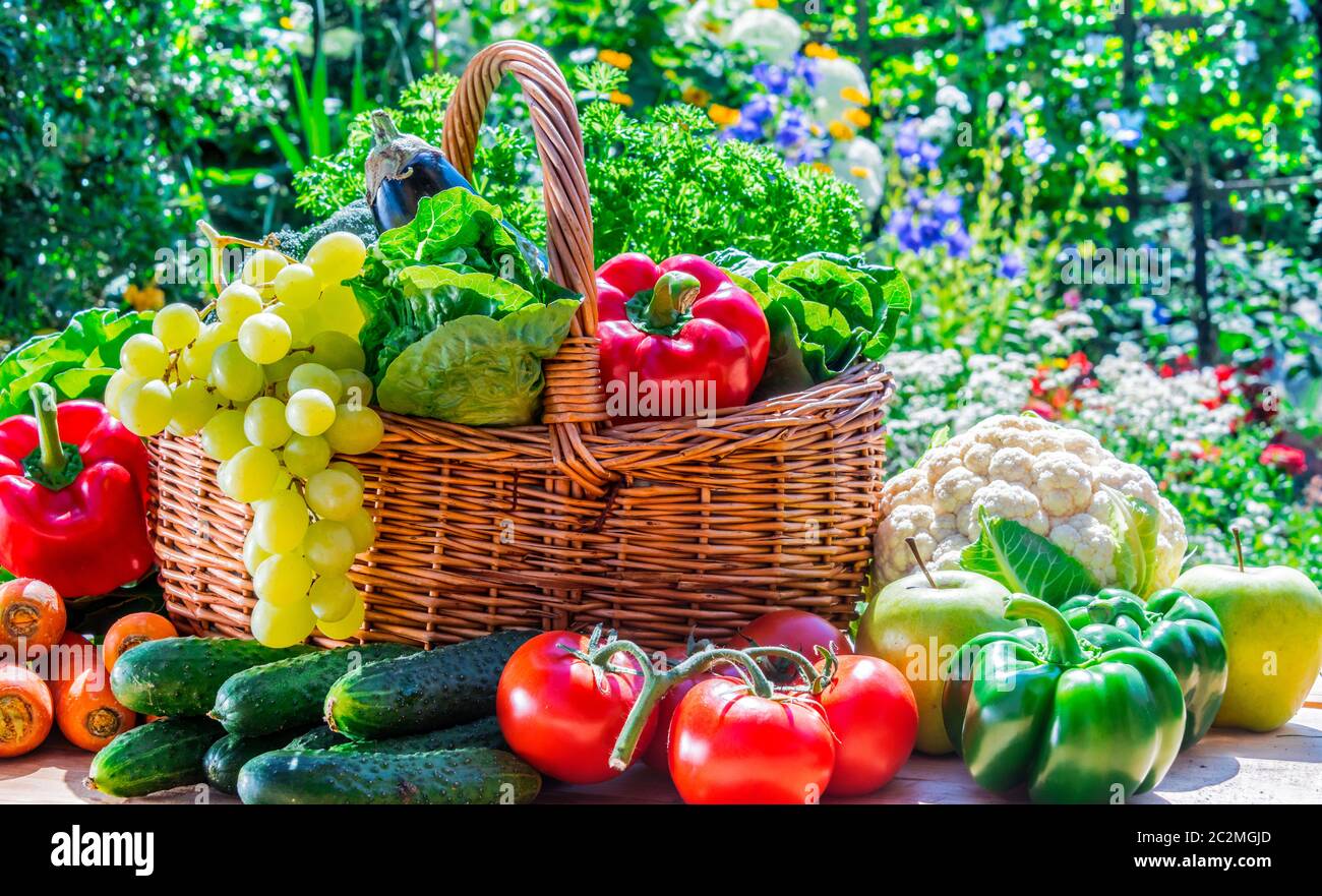 Variety of fresh organic vegetables and fruits in the garden. Balanced ...