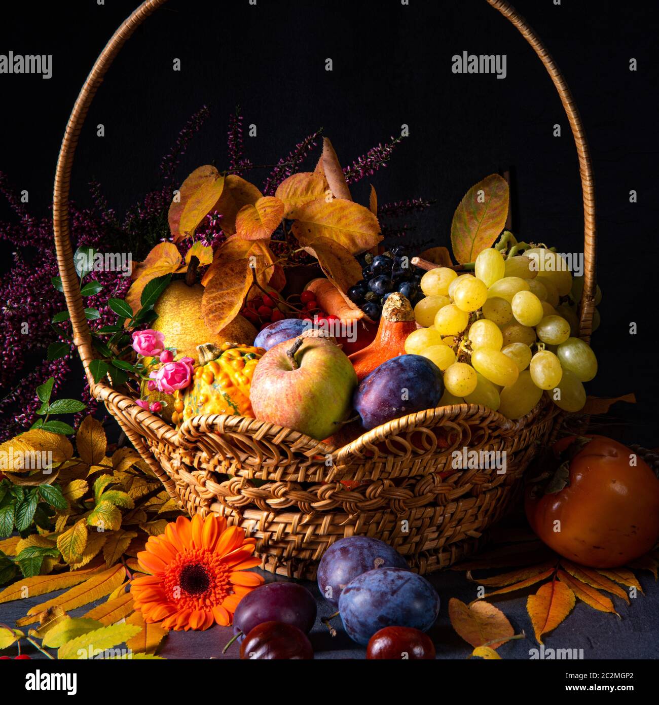 Cornucopia Empty High Resolution Stock Photography and Images - Alamy
