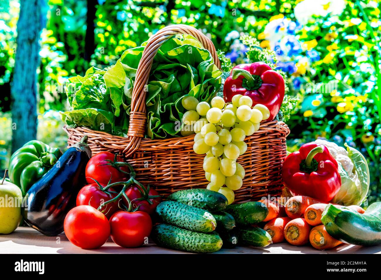 Variety of fresh organic vegetables and fruits in the garden. Balanced ...
