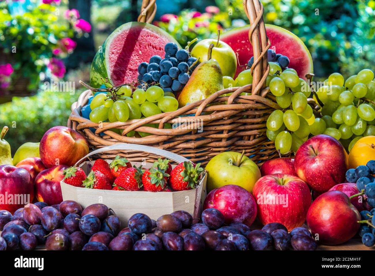Variety of fresh ripe fruits in the garden. Balanced diet Stock Photo ...