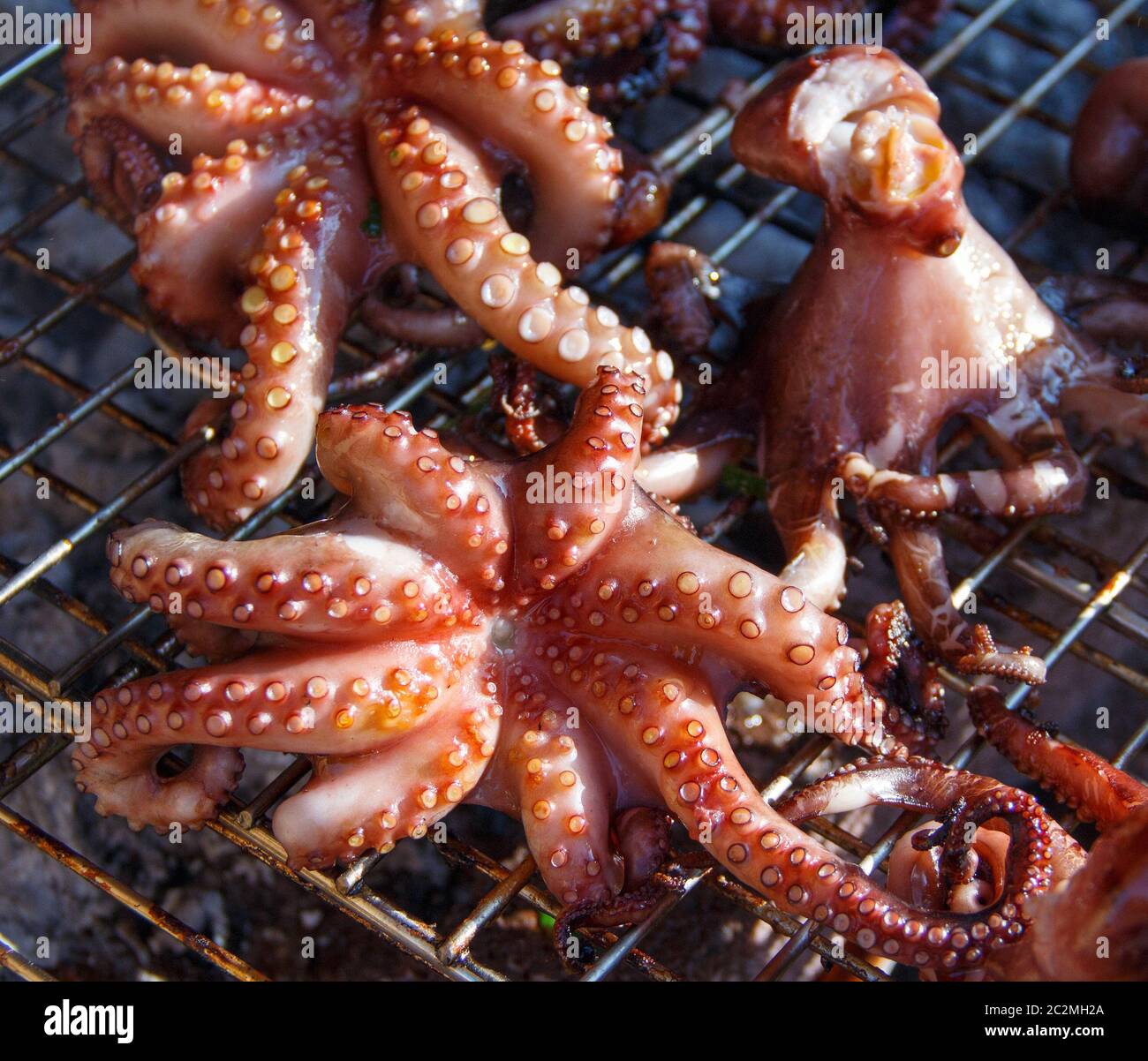 Grilled octopuses cooking on a metal grill close up Stock Photo - Alamy