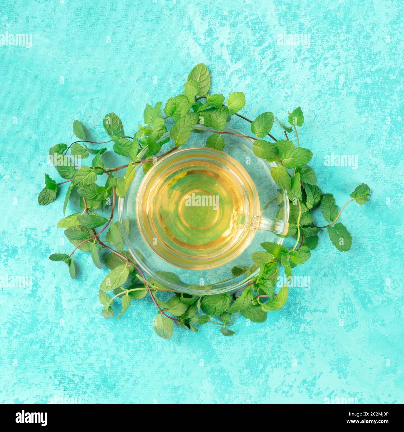 Mint tea cup, square top shot on a blue background with fresh mint ...