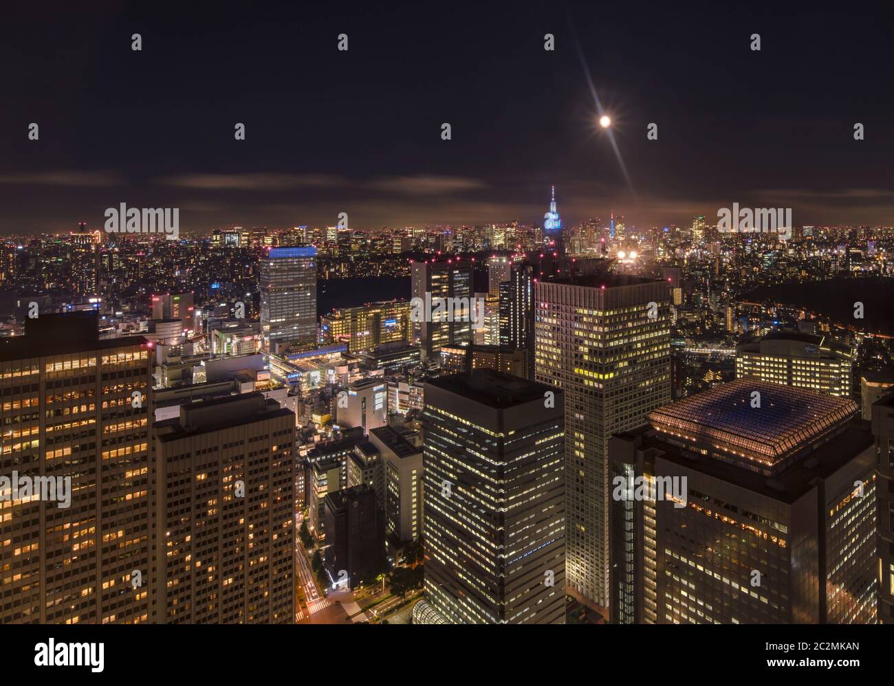 Night-time panoramic view from the Tokyo Metropolitan Government ...