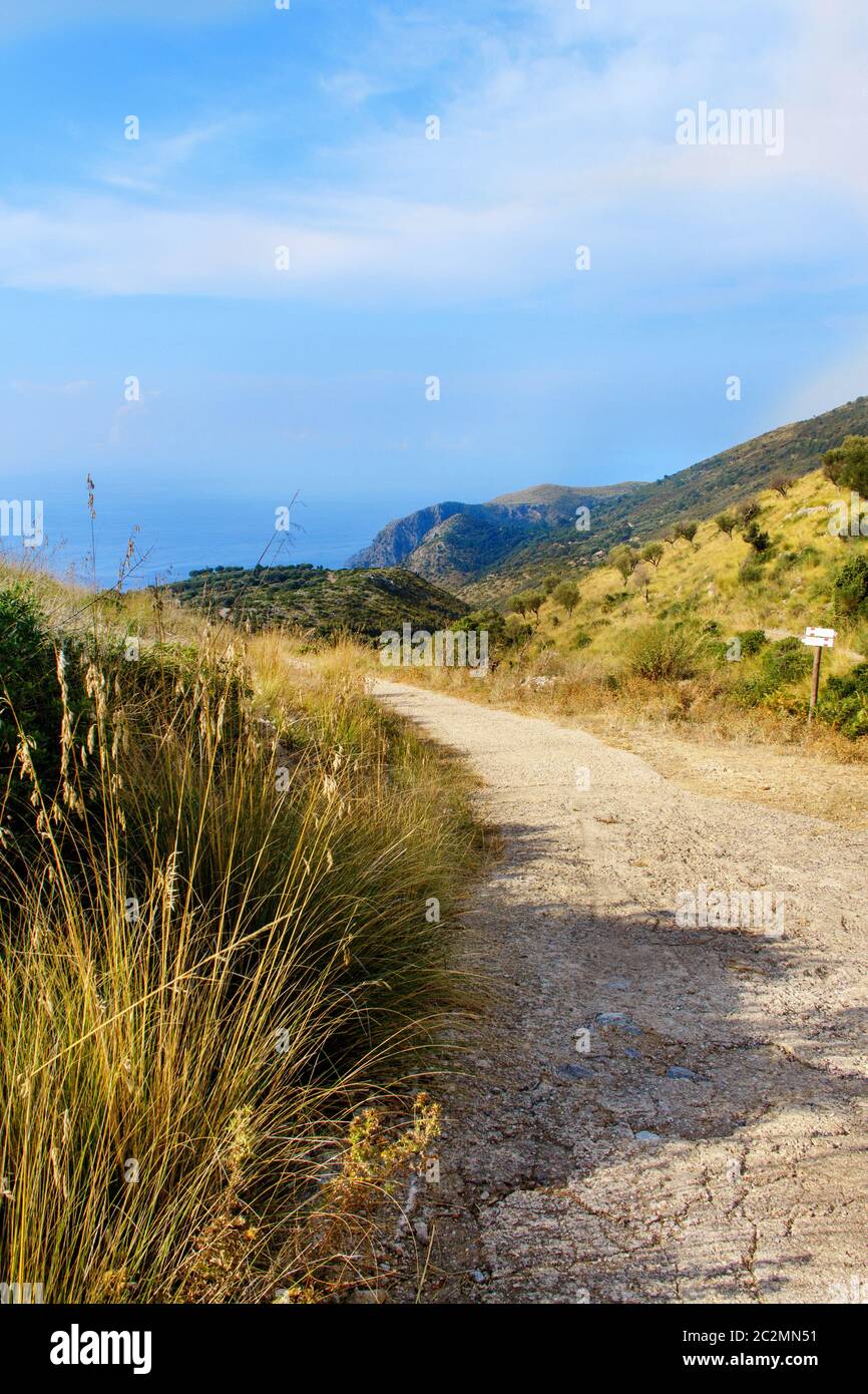 Masseta hi-res stock photography and images - Alamy