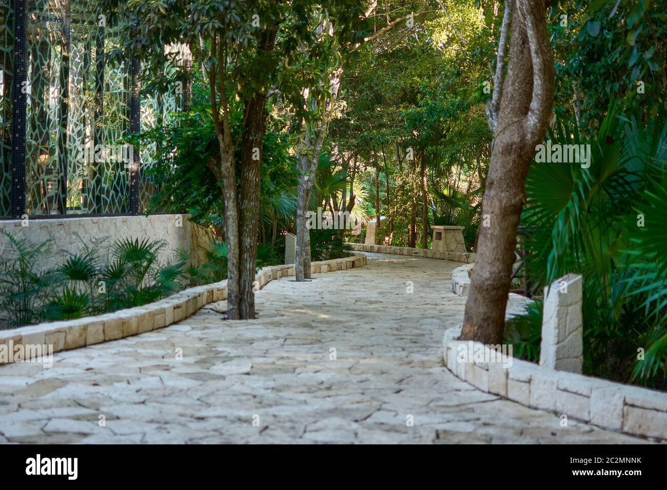 Clear stone walk through the tropical forest in Mexico in the Mayan ...