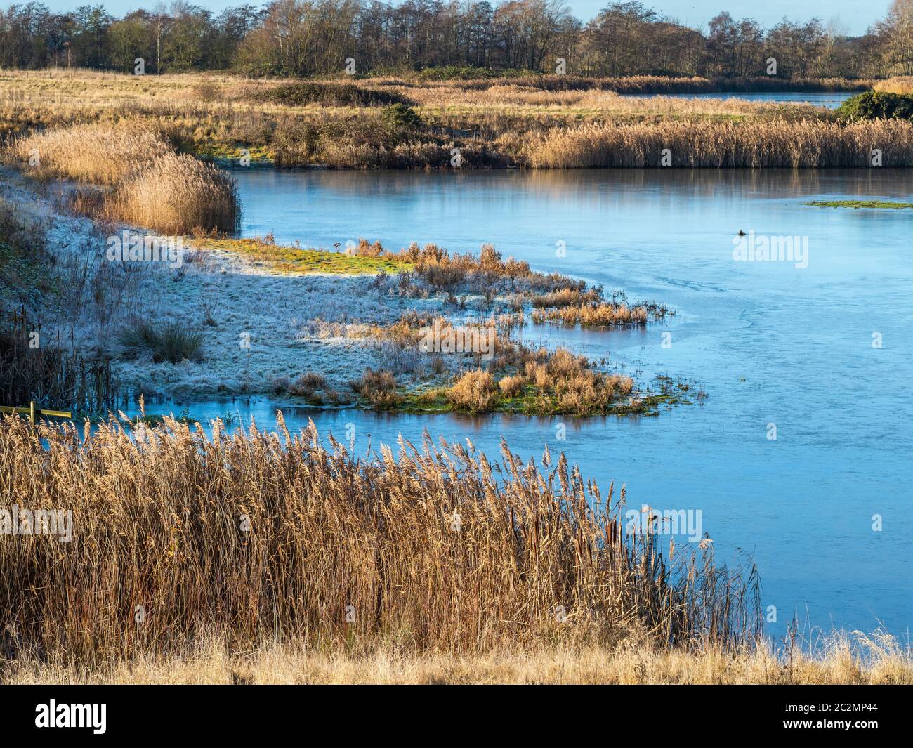 Frosty morning at North Cave Wetlands nature reserve in East Yorkshire ...