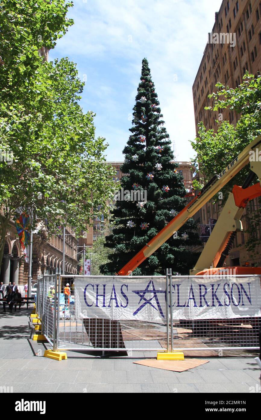 The Christmas tree in Martin Place, Sydney Stock Photo - Alamy