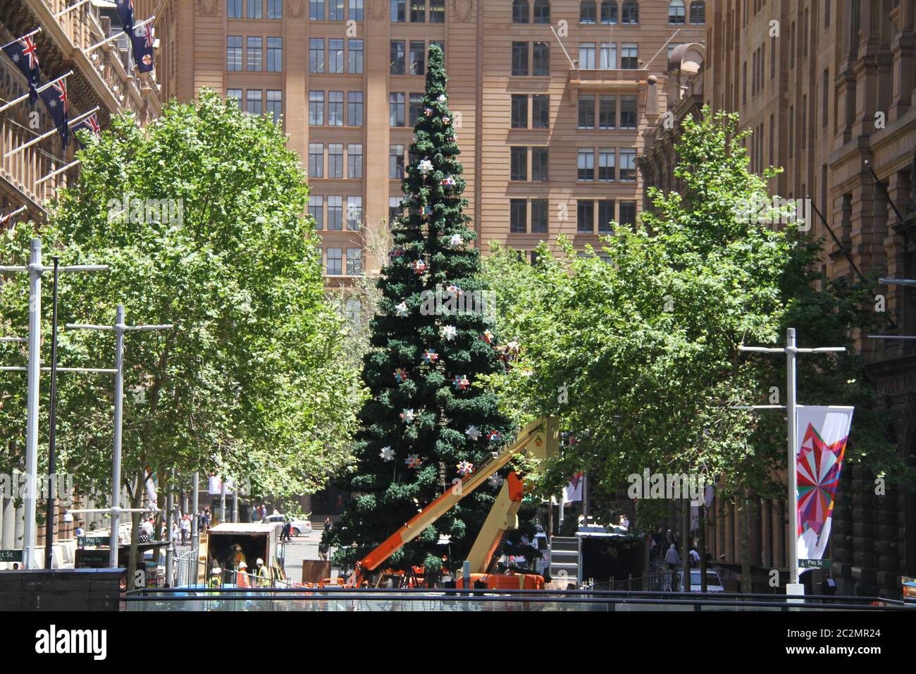 The Christmas tree in Martin Place, Sydney Stock Photo - Alamy