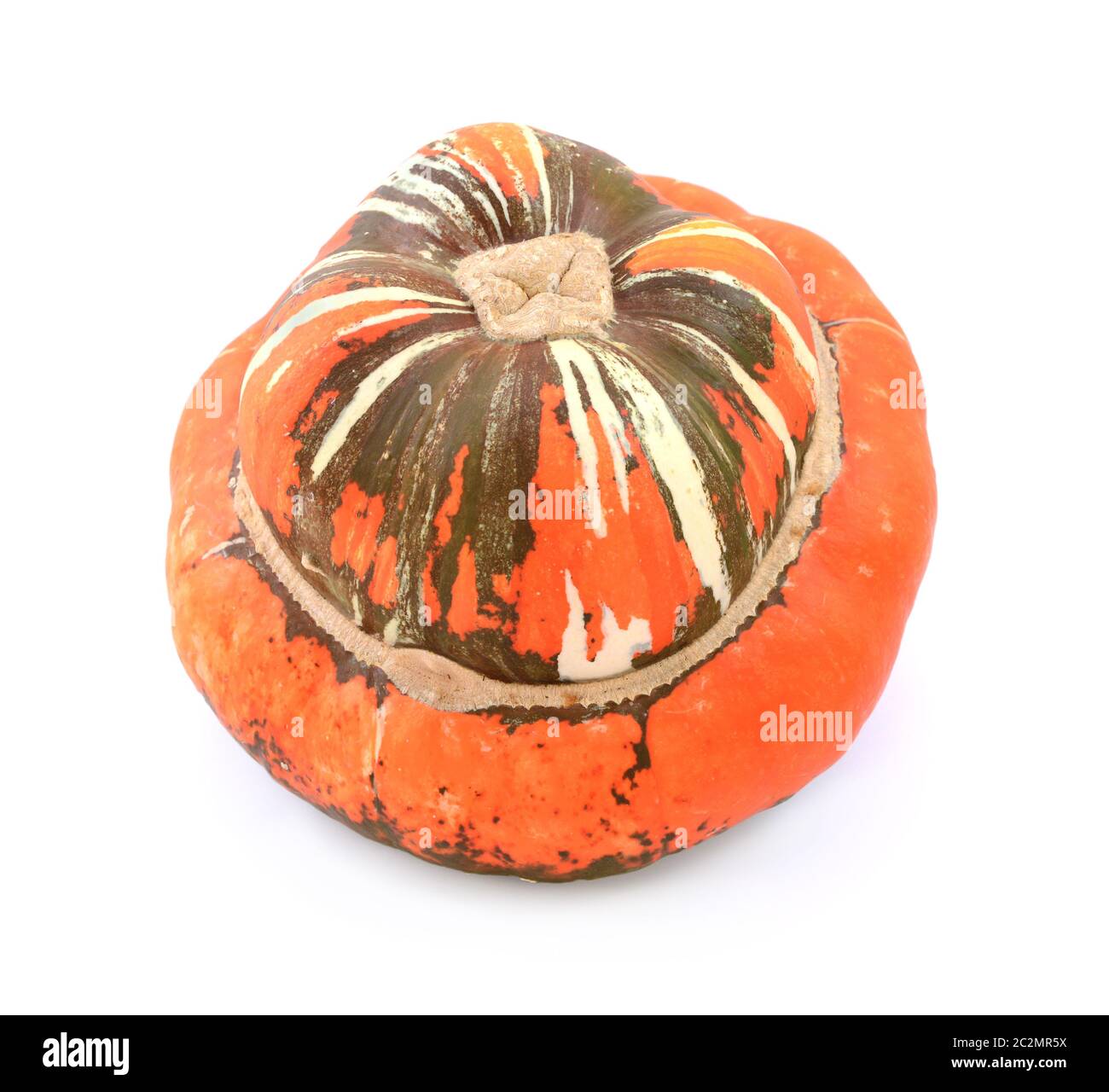 Large Turks Turban gourd with dark brown and orange stripes on white ...