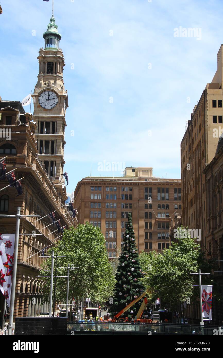 The Christmas tree in Martin Place, Sydney Stock Photo - Alamy