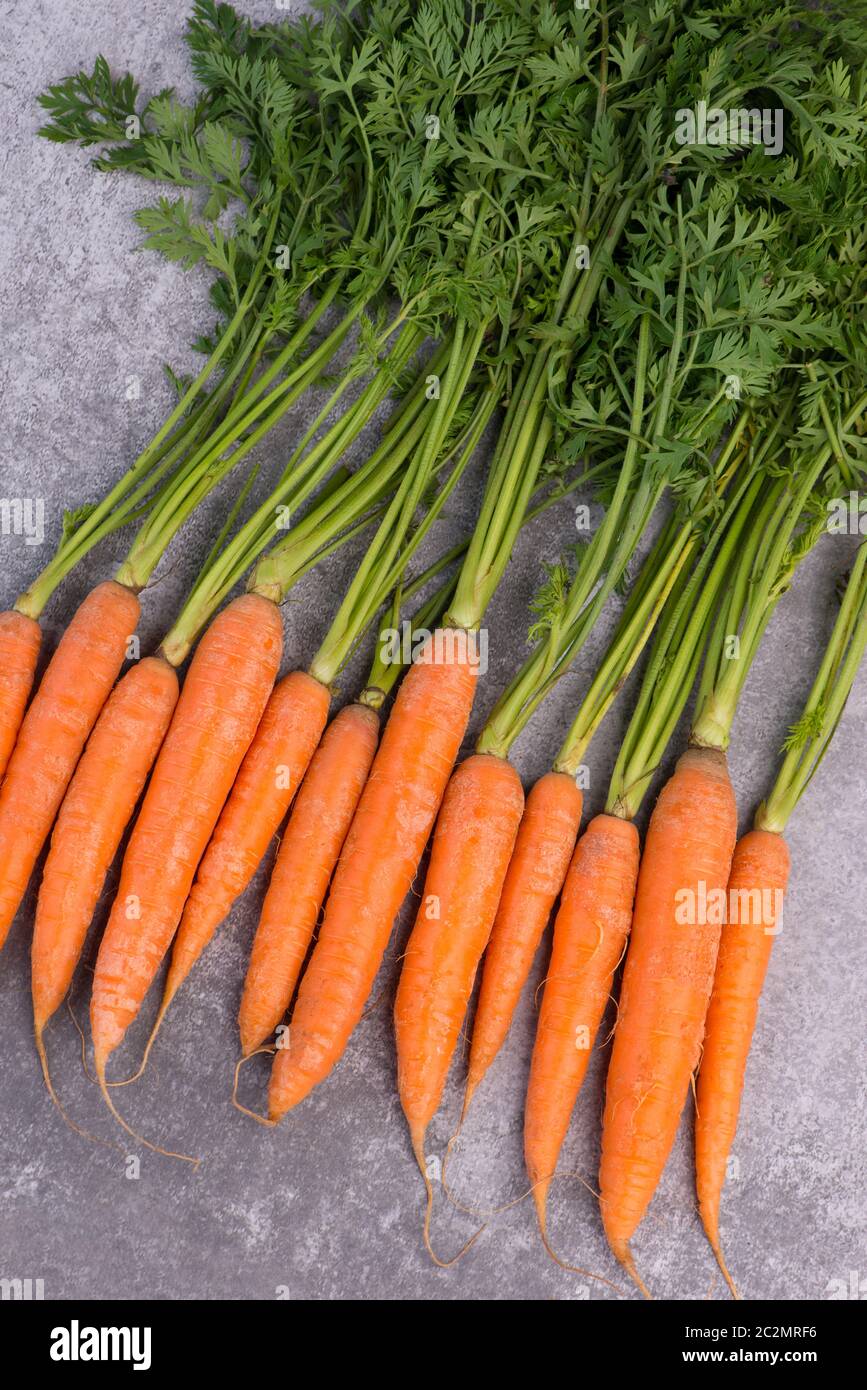Fresh carrots on a grey textured background Stock Photo - Alamy