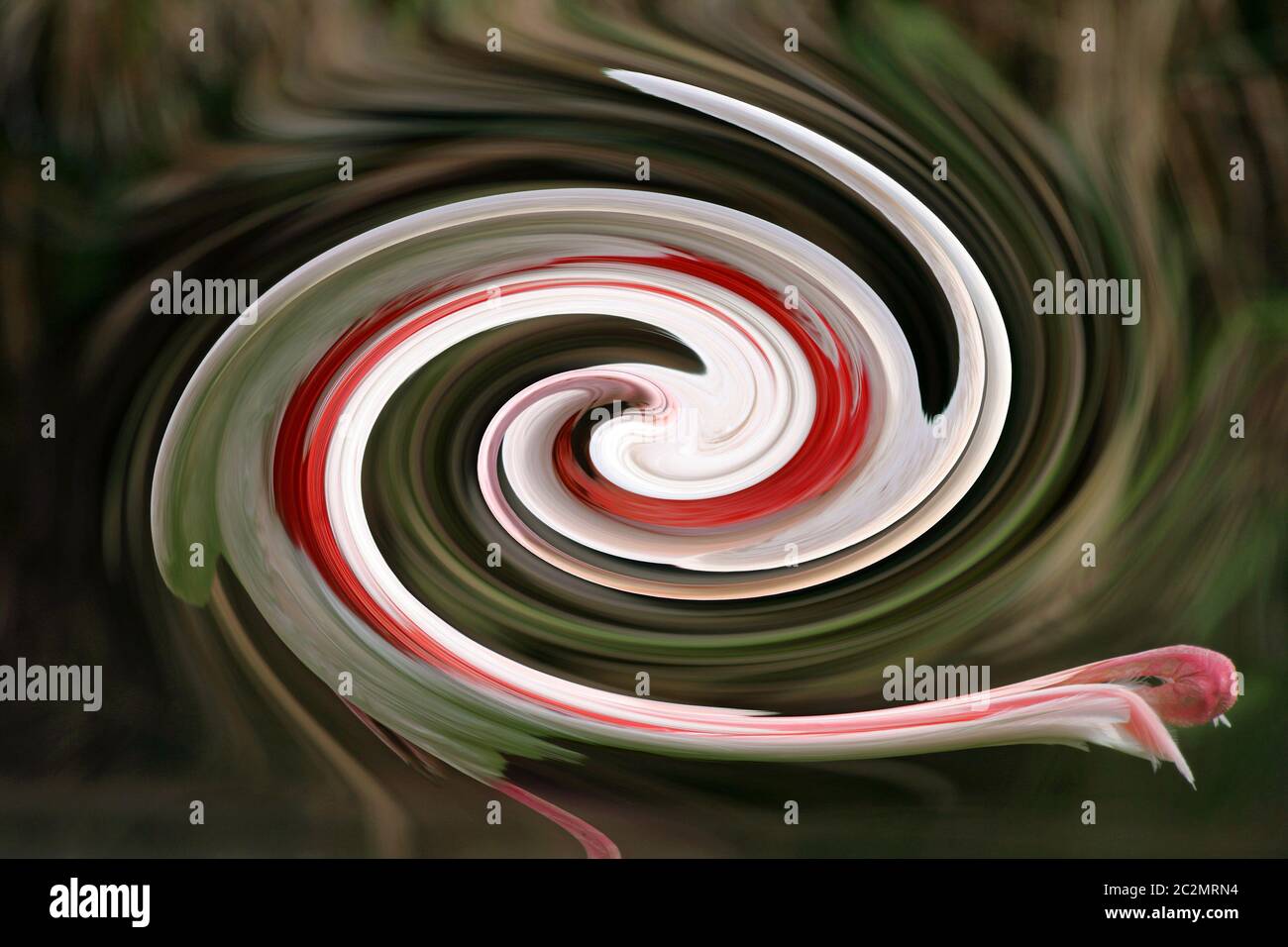 Whirl hi-res stock photography and images - Alamy