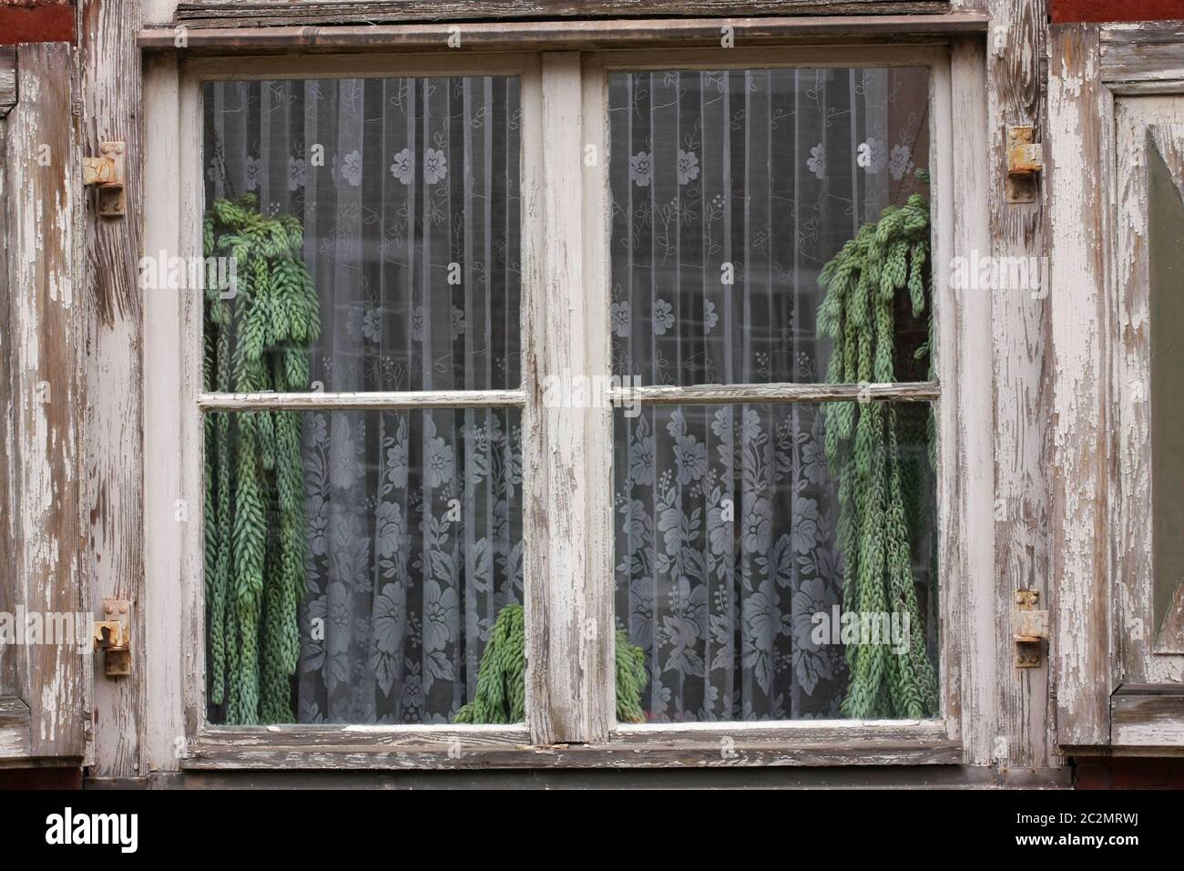 0077 hi-res stock photography and images - Alamy