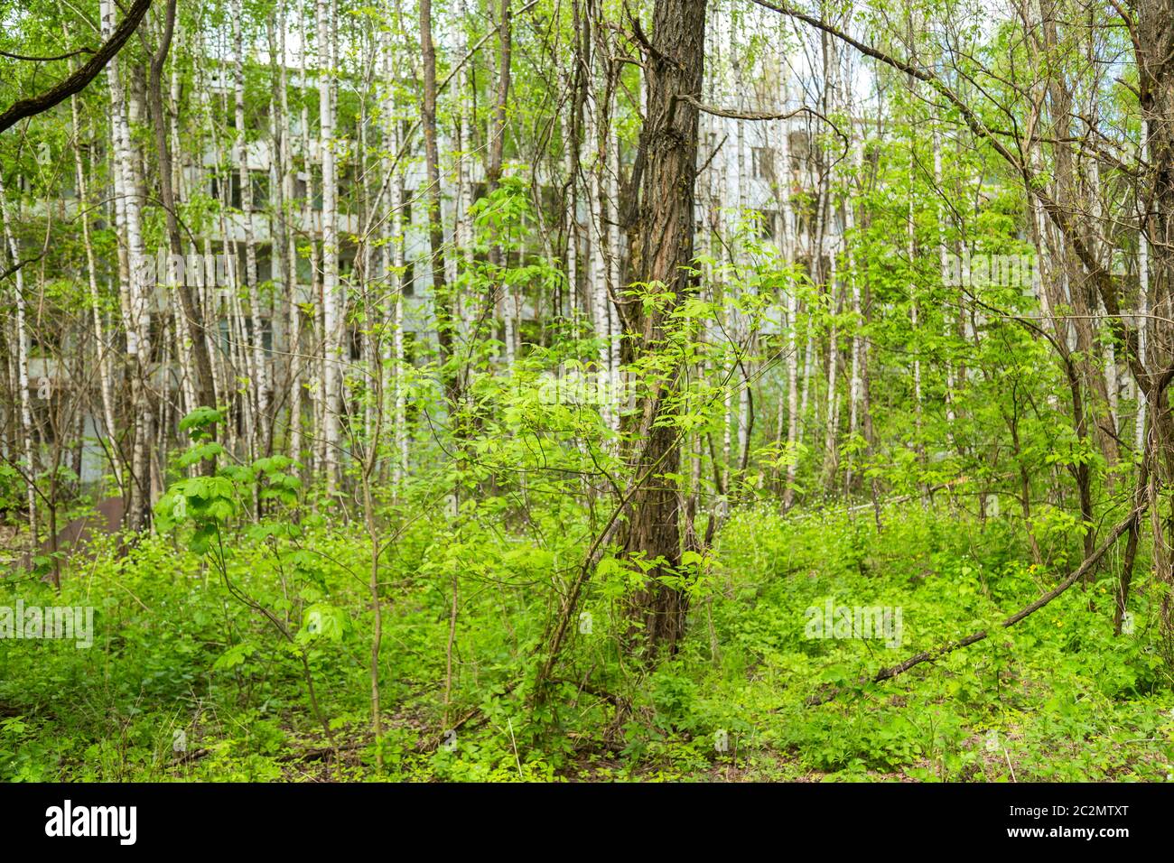 Chernobyl texture hi-res stock photography and images - Alamy