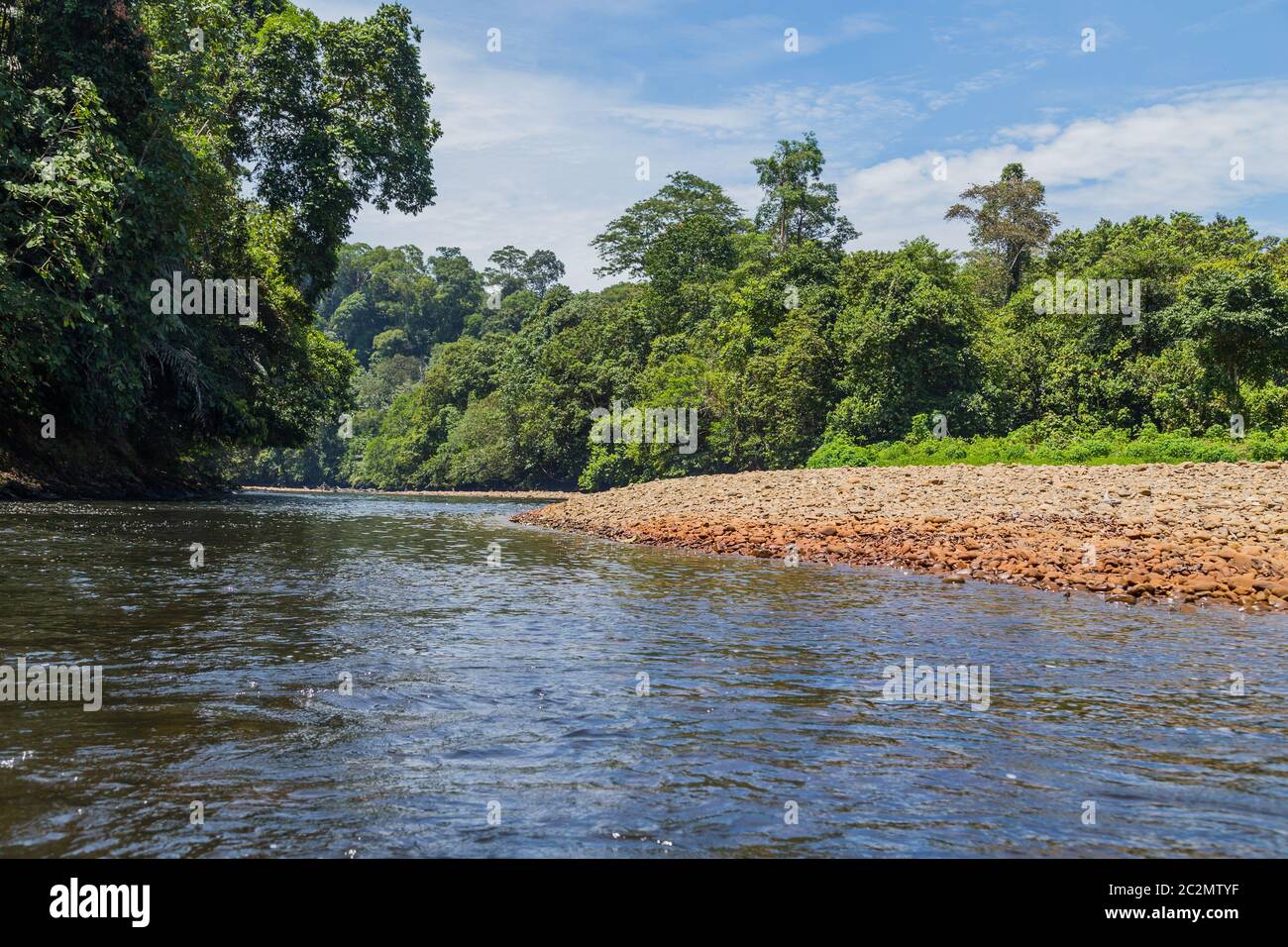 Temburong River, Virgin Rainforest, Ulu Temburong National Park, Brunei ...