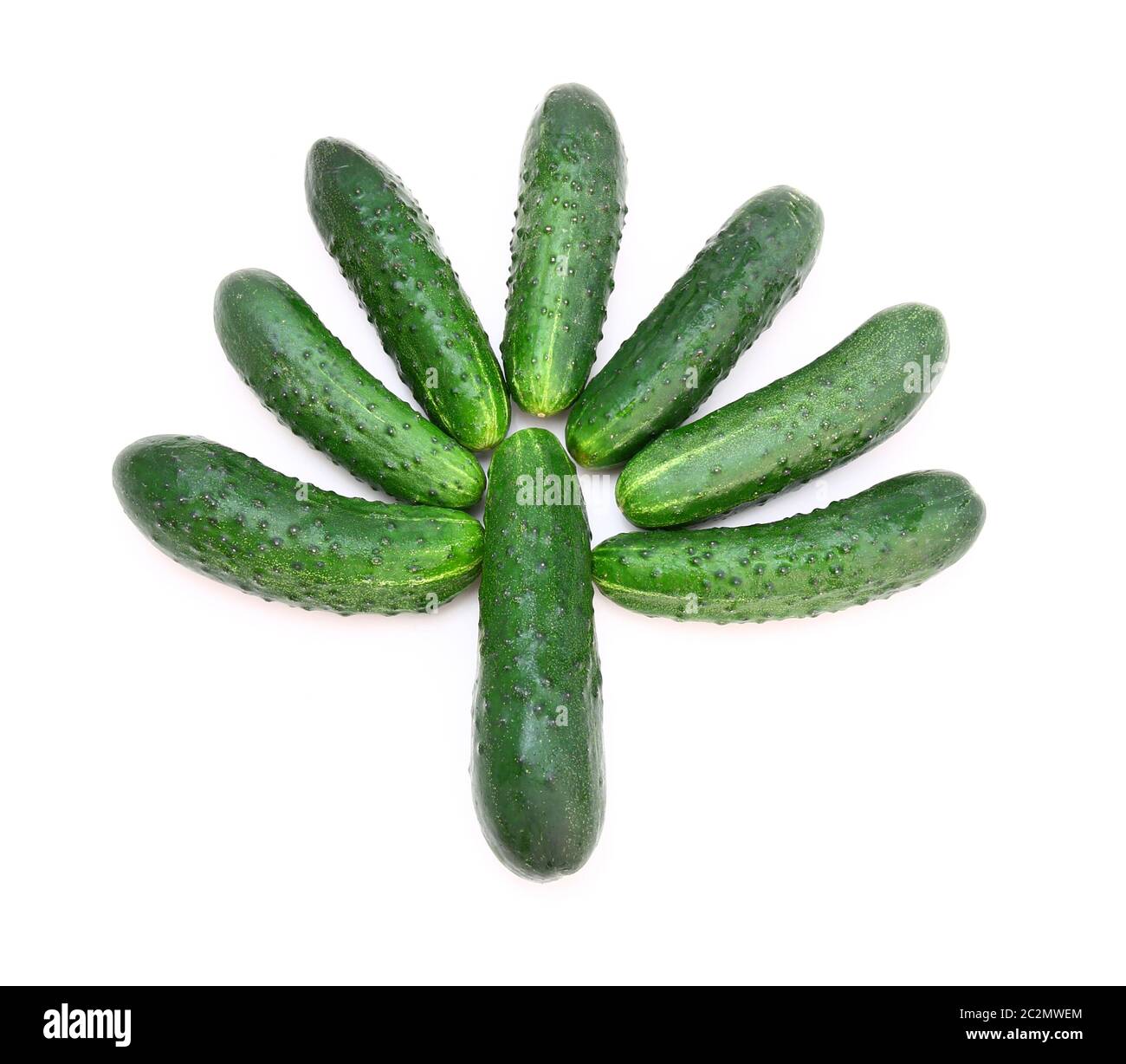 Tree form Cut Out Stock Images & Pictures - Alamy