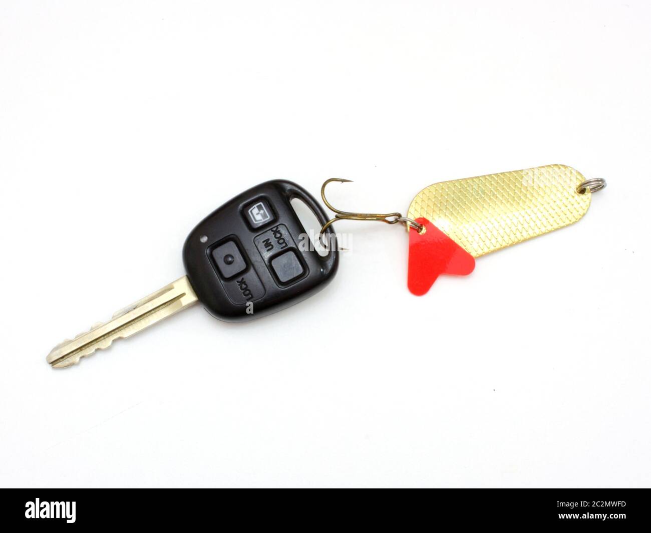 Car a key caught Stock Photo - Alamy