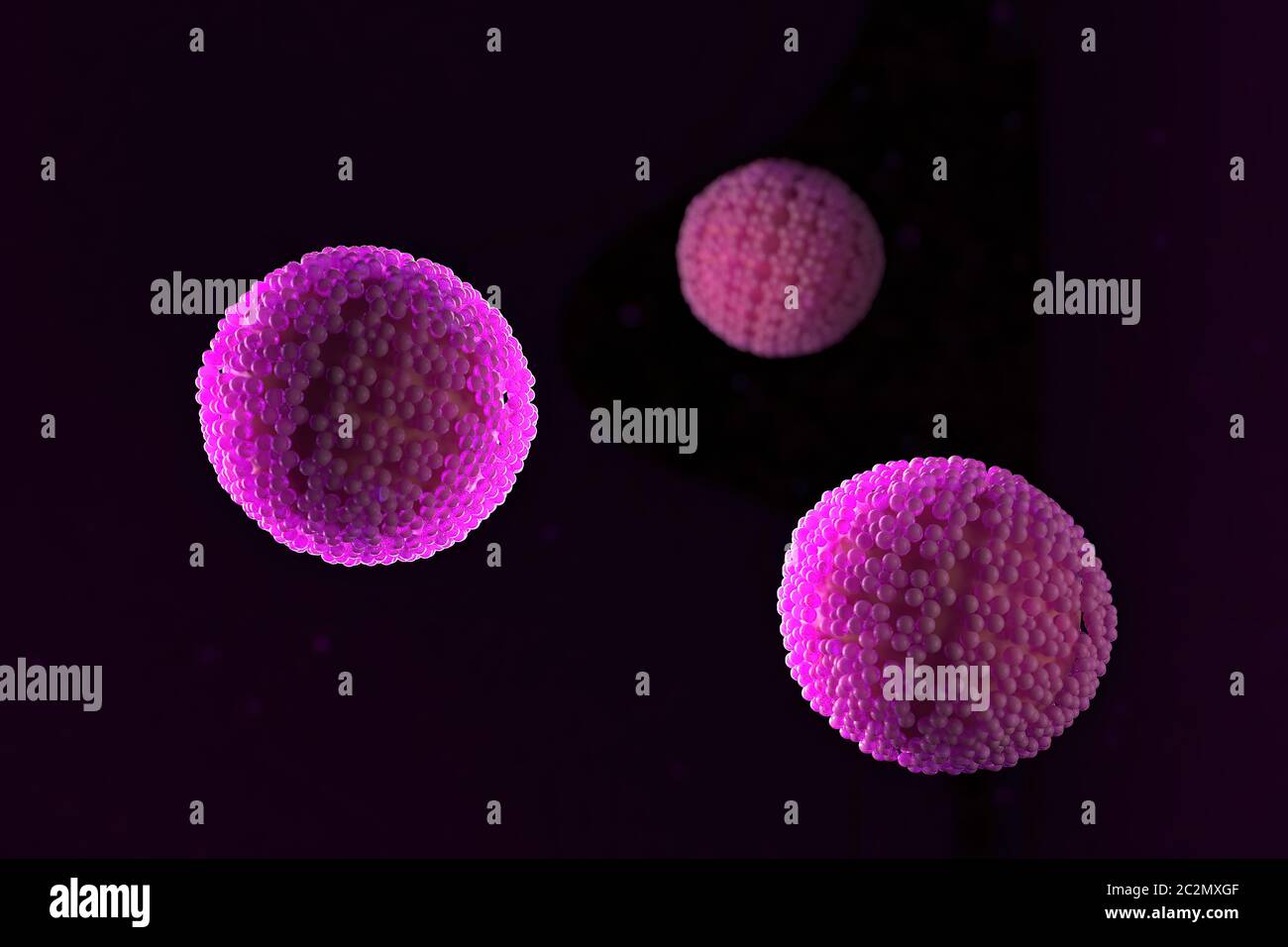 3d illustration, close up of microscope Papilloma Virus Stock Photo - Alamy