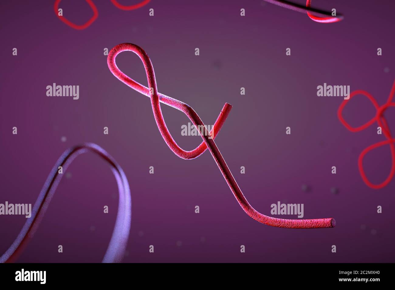 3d illustration, close up of microscope Ebola Virus Stock Photo - Alamy