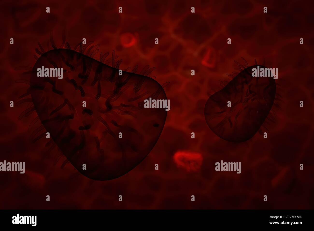 3d illustration, close up of microscope Rabies Virus Stock Photo - Alamy