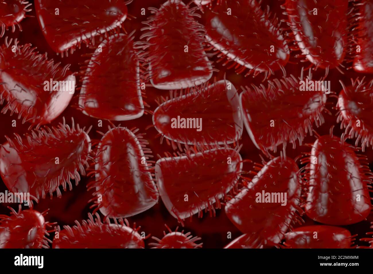 Rabies virus microscope hi-res stock photography and images - Alamy