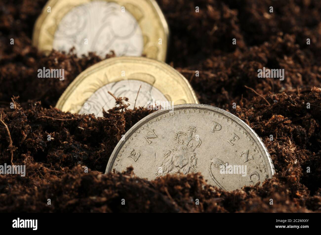 British pound coins sown in the ground Stock Photo - Alamy