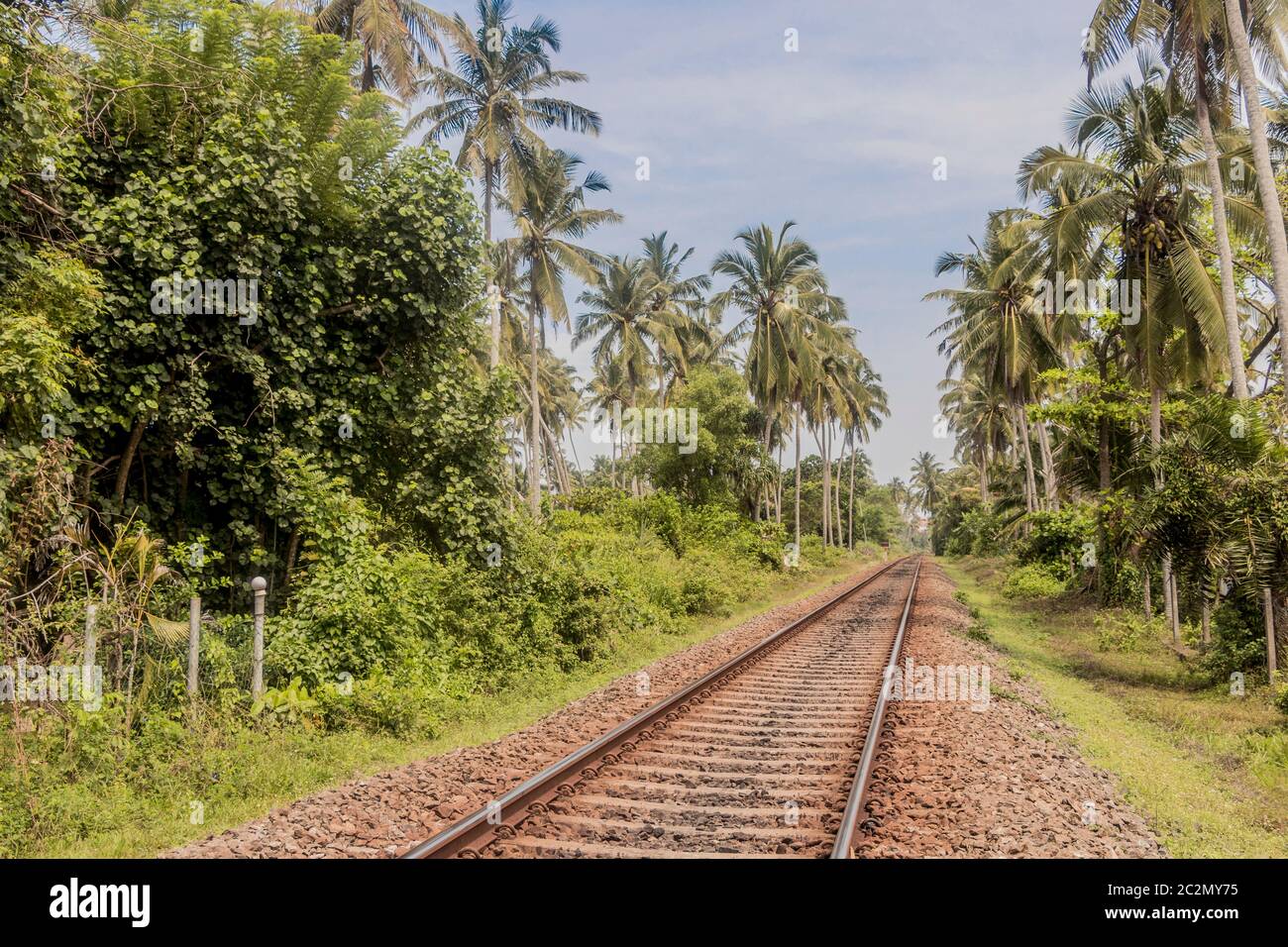 Train tracks and way in Sri Lanka with beautiful tropical landscape ...