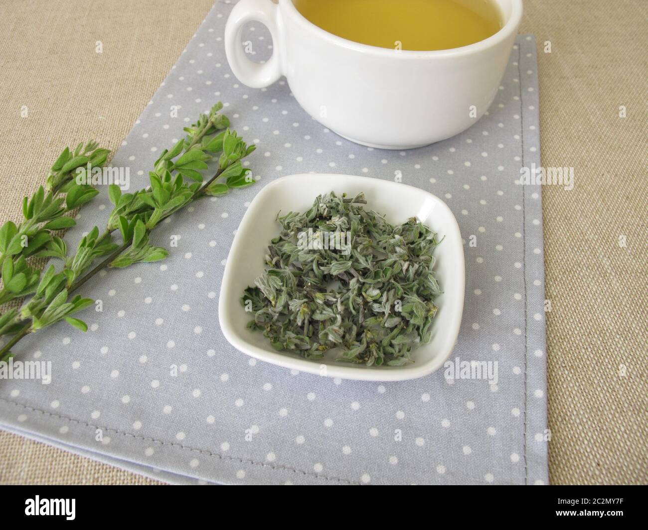 A cup of tea with scotch broom Stock Photo - Alamy