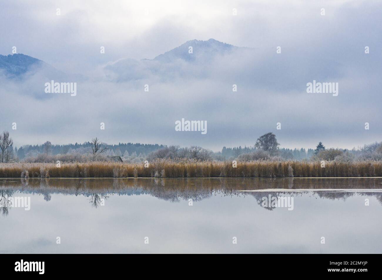 Fog cold hi-res stock photography and images - Alamy