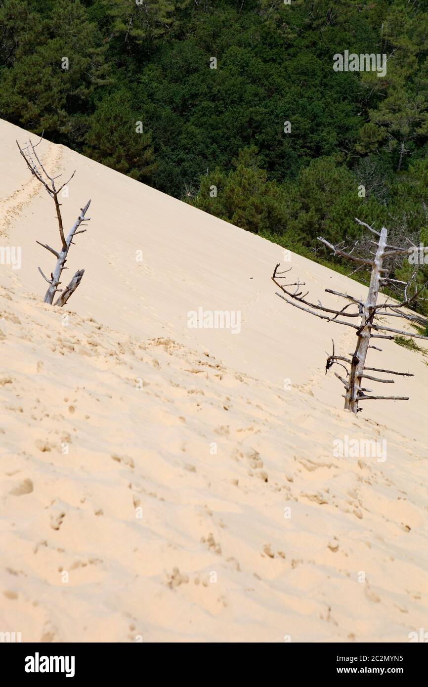 The Famous dune of Pyla, the highest sand dune in Europe, in Pyla Sur ...