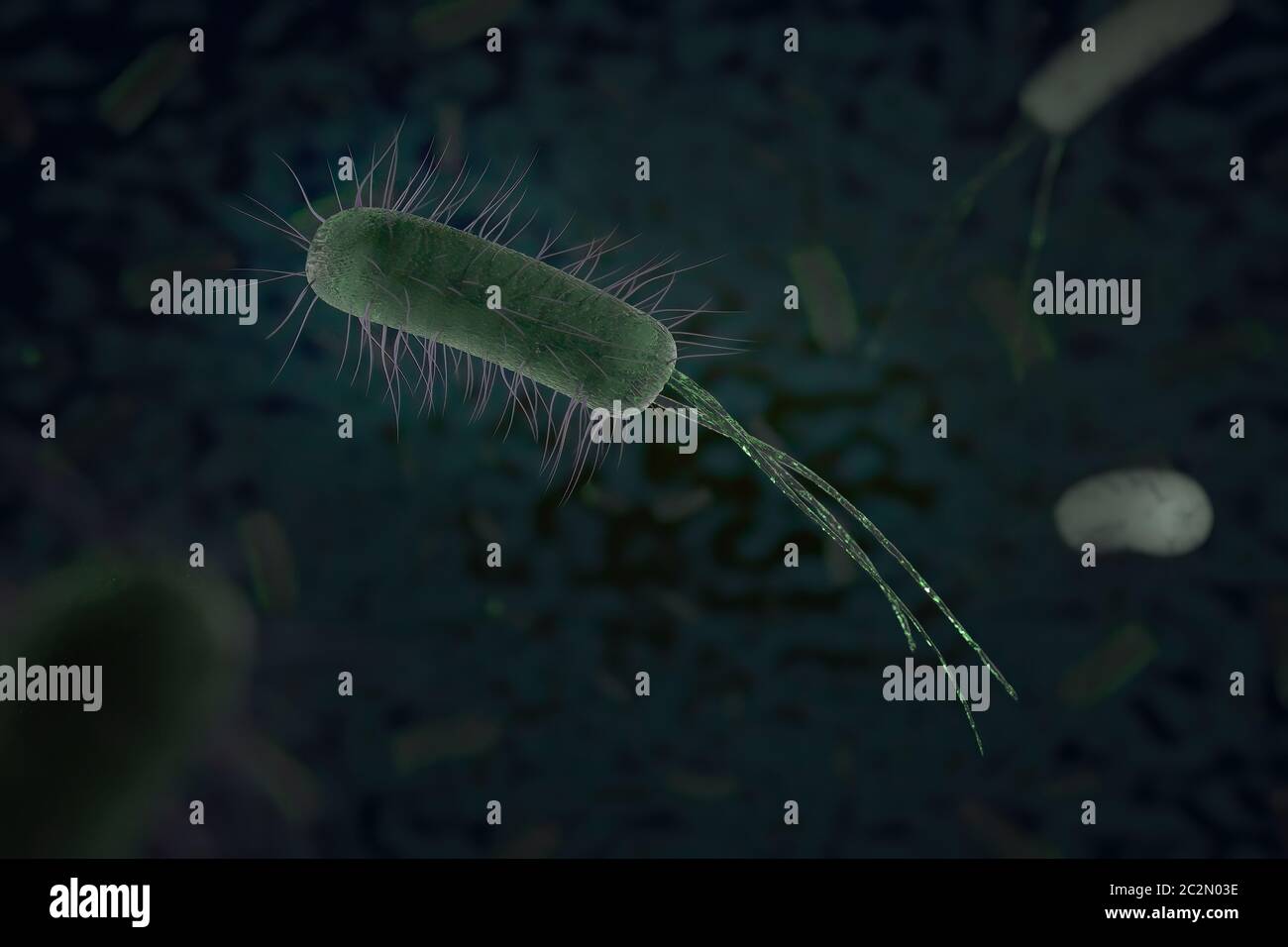 close up of microscopic bacteria , 3d illustration Stock Photo - Alamy