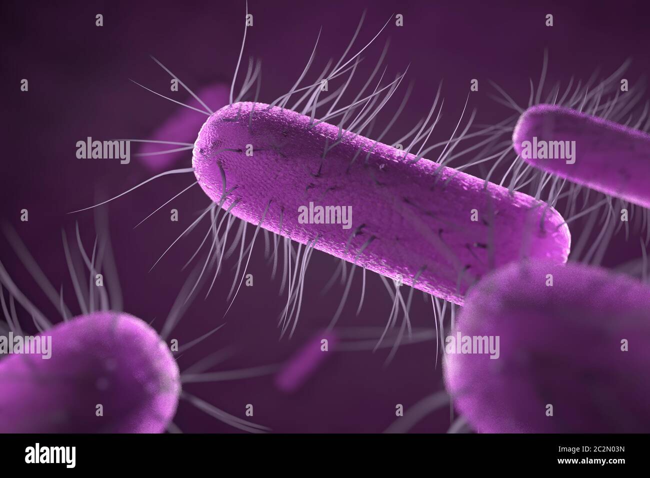 close up of microscopic bacteria , 3d illustration Stock Photo - Alamy
