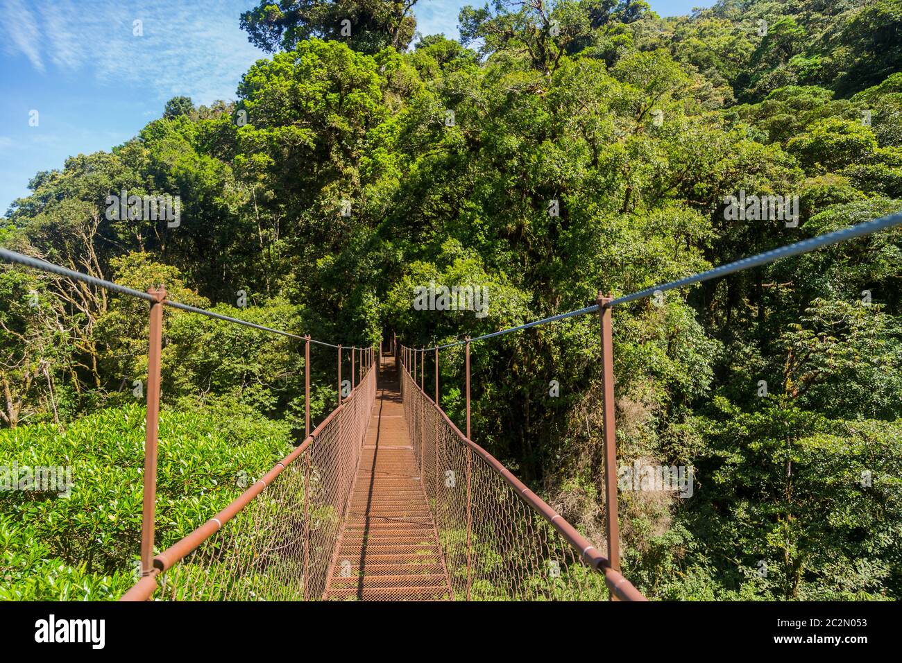 old hanging bridge in the jungle of Panama Stock Photo - Alamy