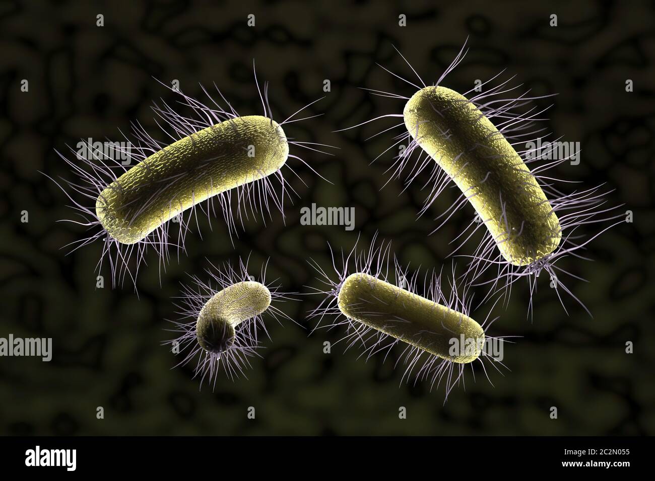 close up of microscopic bacteria , 3d illustration Stock Photo - Alamy