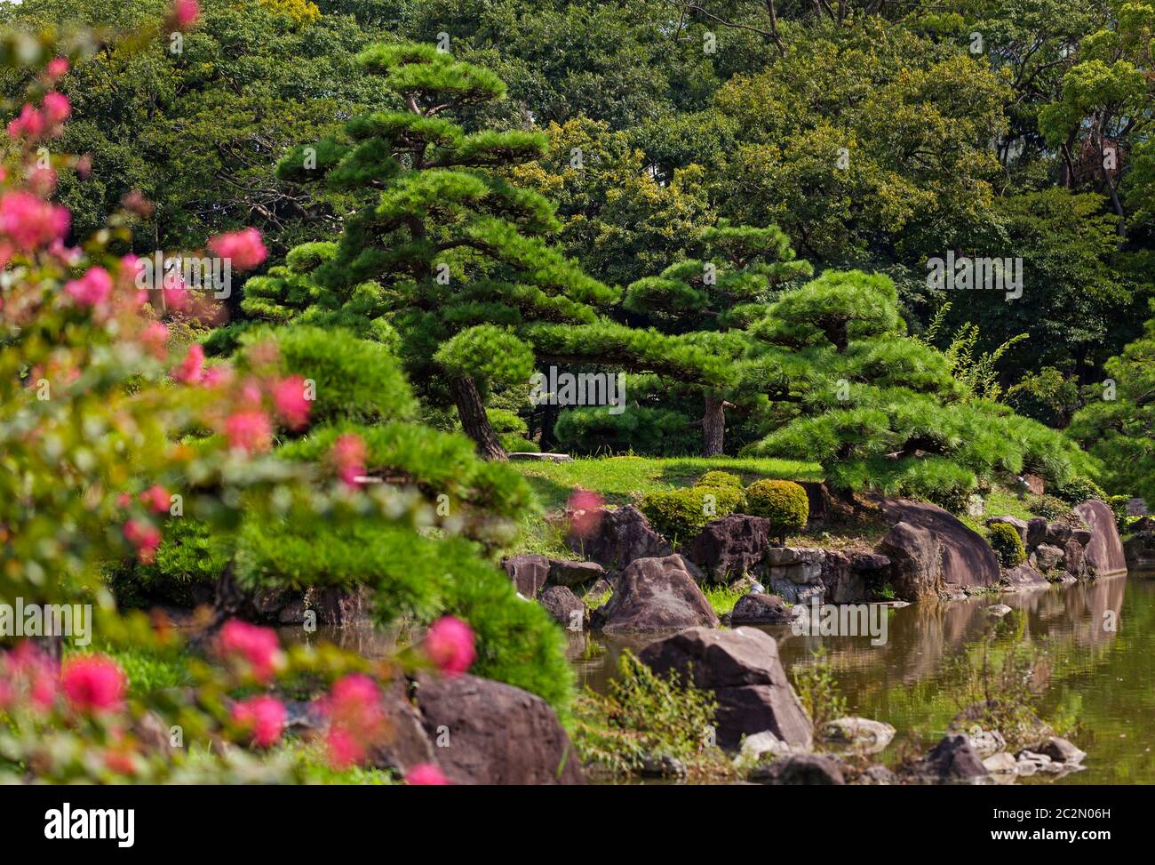 Beautiful green japanese traditional park in summer time Stock Photo ...