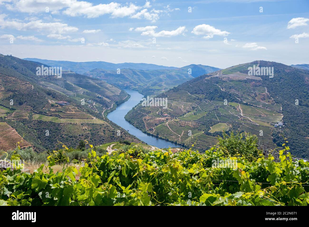 Pinhao wine hi-res stock photography and images - Alamy
