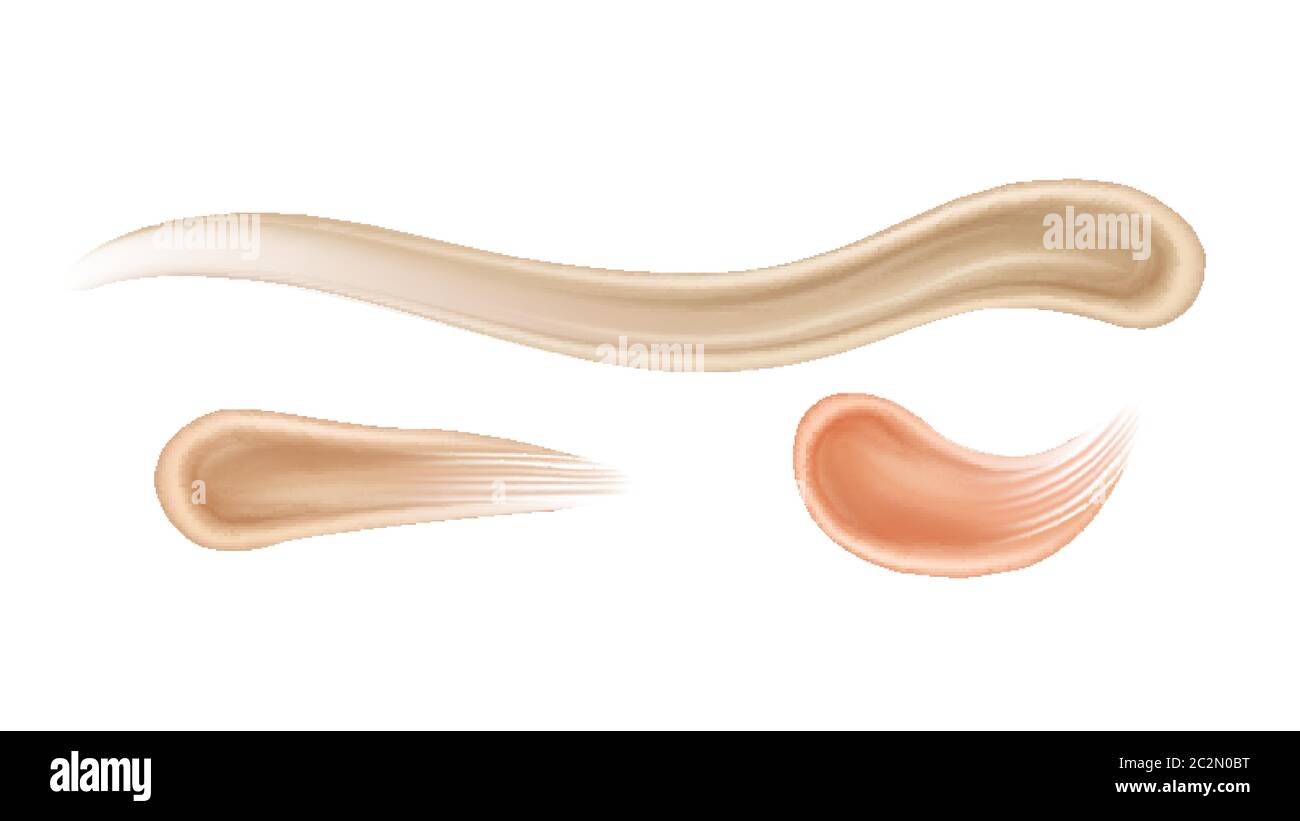 Concealer Stroke Face Cosmetics Makeup Set Vector Stock Vector Image ...