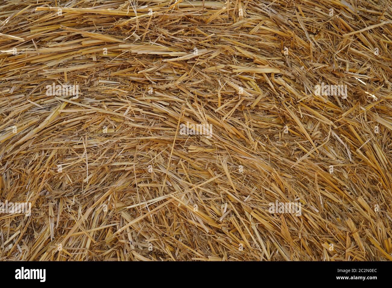 Straw bale texture hi-res stock photography and images - Alamy