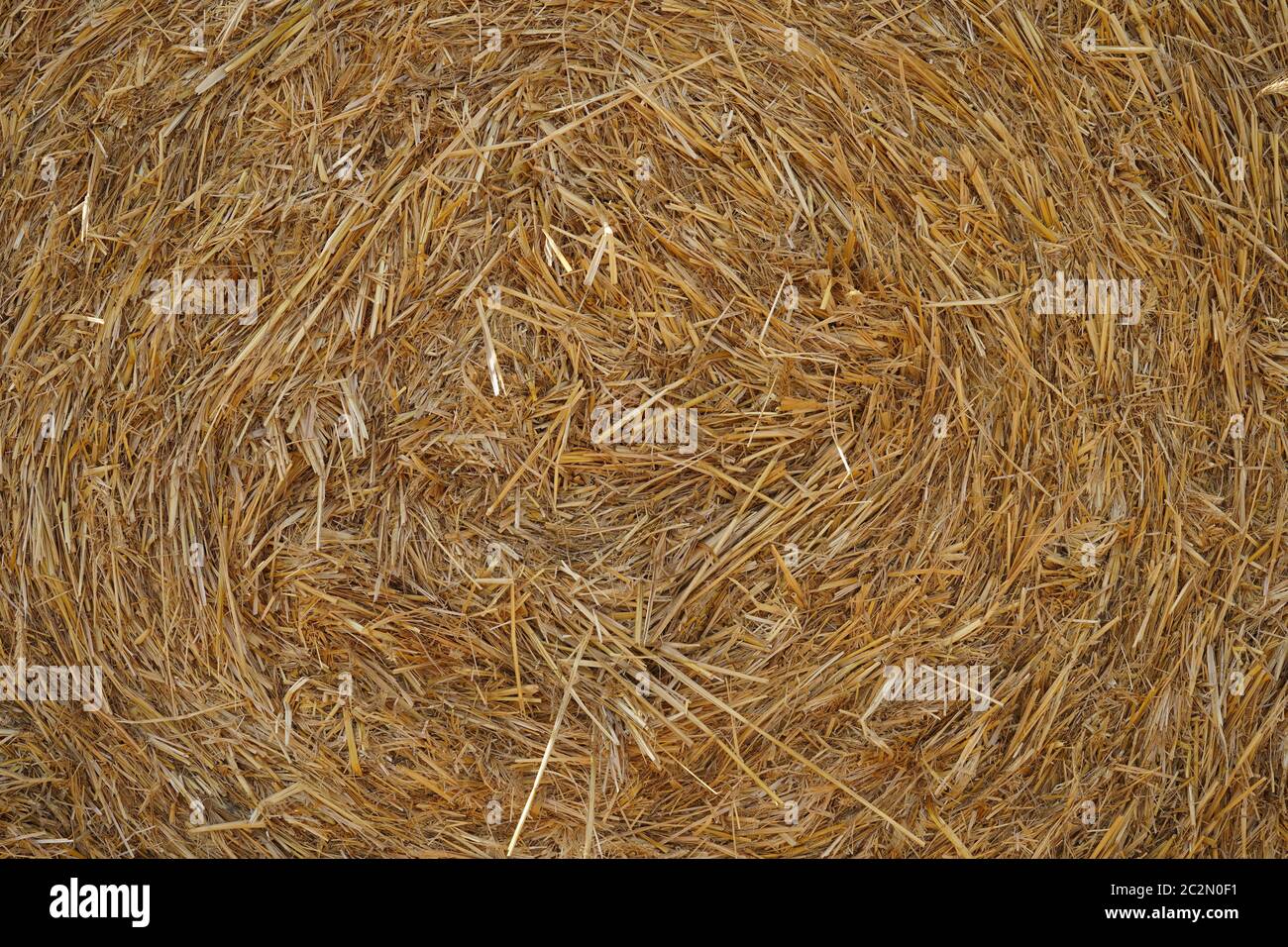 Dry golden straw bale texture background Stock Photo - Alamy
