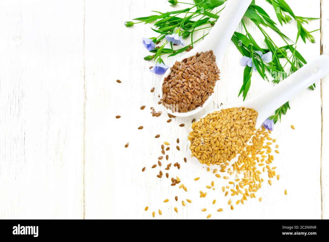 Linen seeds white and brown in two spoons, stalks of flax with blue ...