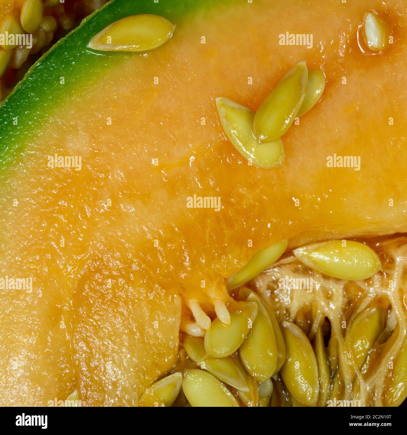 Sugar melones hi-res stock photography and images - Alamy