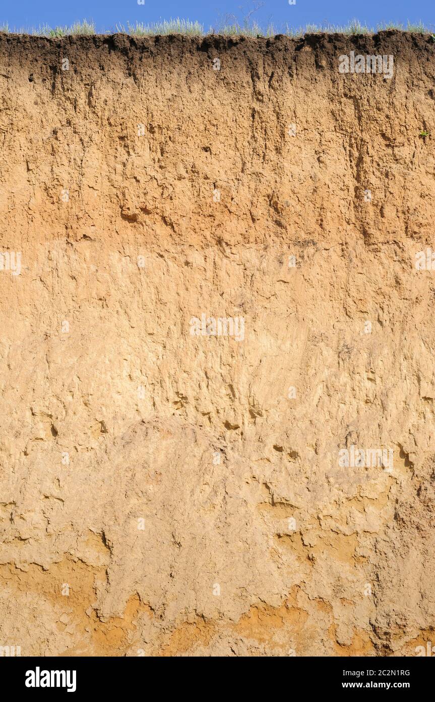 Layered cut of soil Stock Photo - Alamy