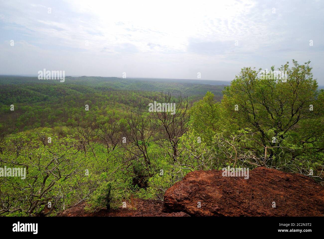 Beautiful Landscape with trees Stock Photo - Alamy