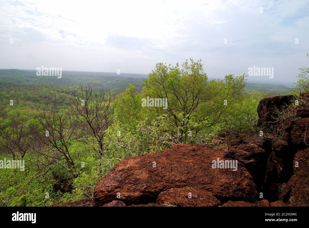 Beautiful Landscape with trees Stock Photo - Alamy