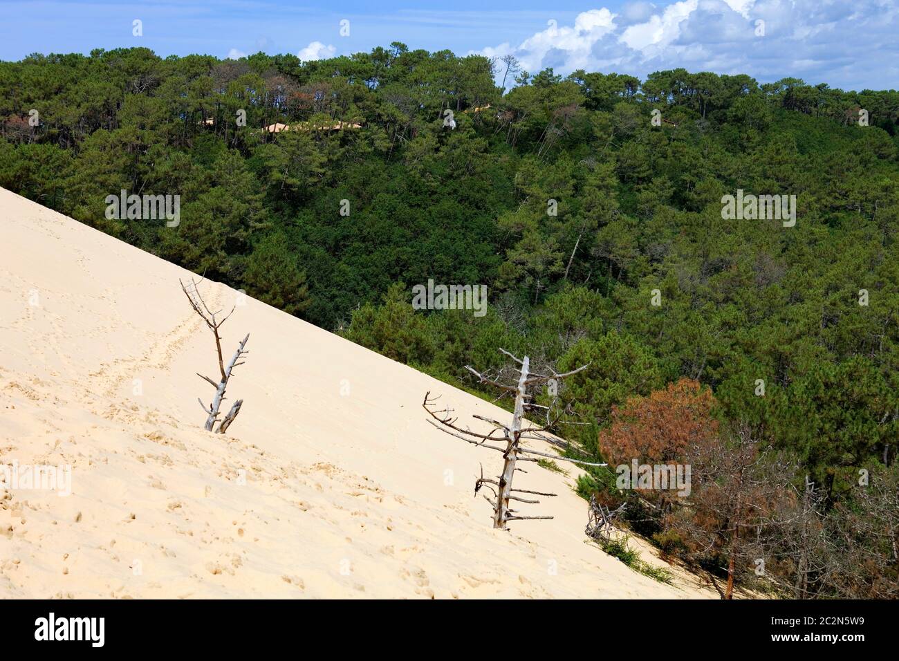 The Famous dune of Pyla fences, the highest sand dune in Europe, in ...