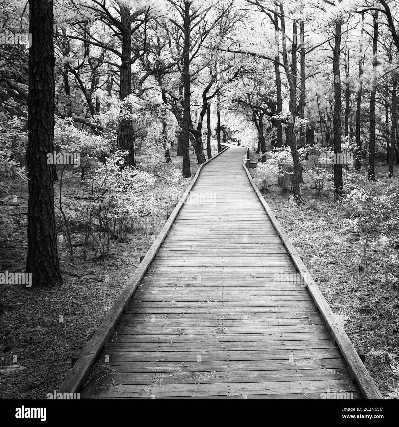 Wooden walkway boards Black and White Stock Photos & Images - Alamy