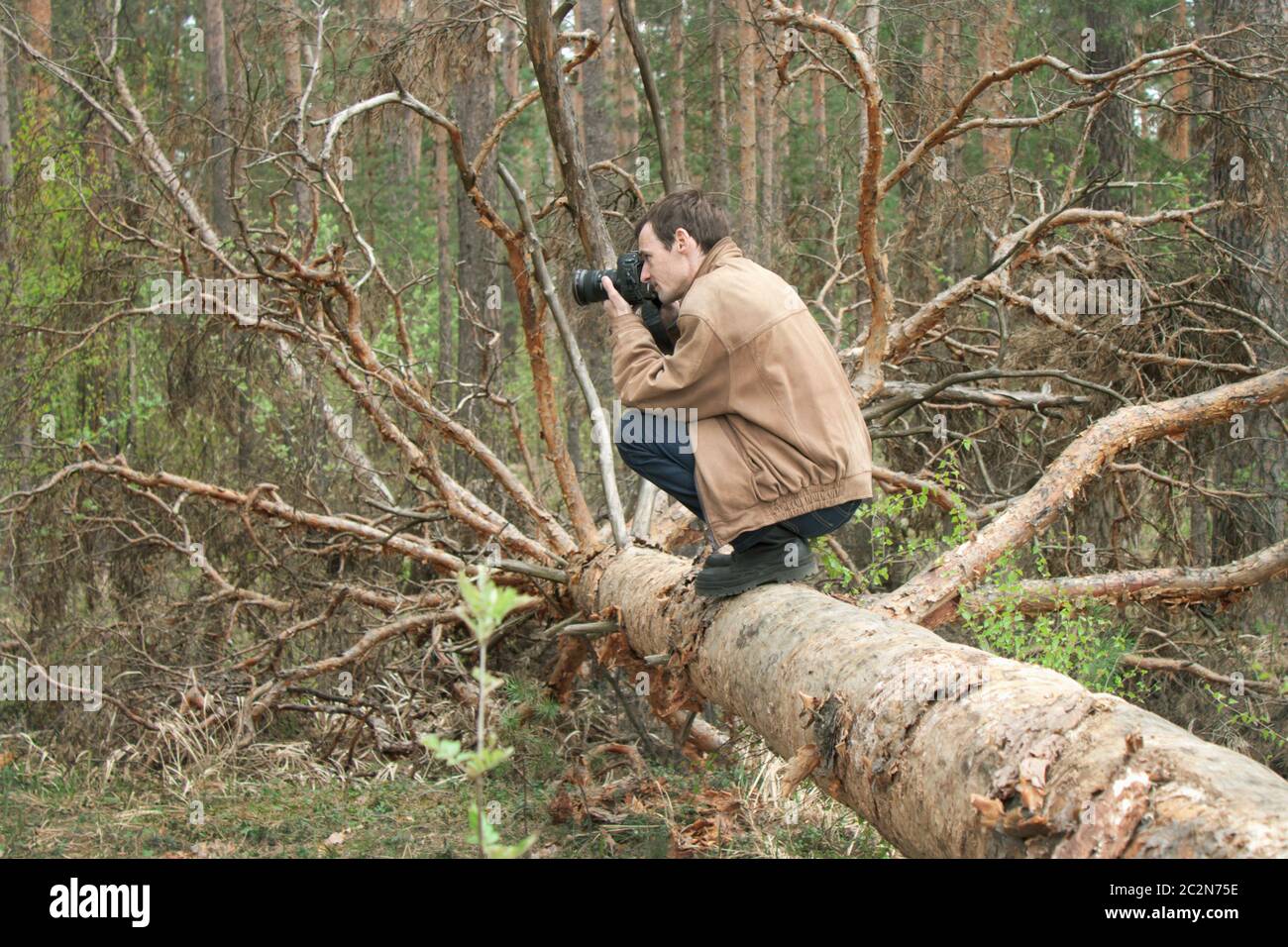 A man sitting on a fallen tree Stock Photo - Alamy