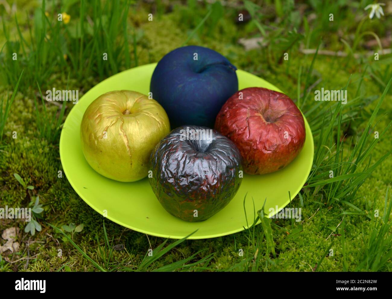 Magic poisonous or painted with acrylic apples on the plate in the ...
