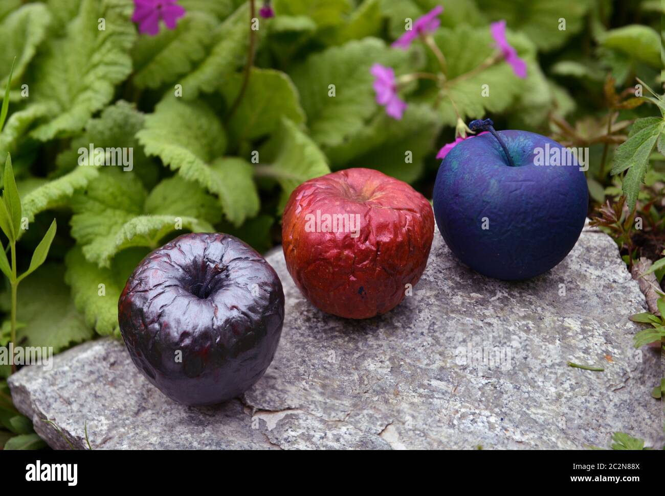 Poison symbol ancient hi-res stock photography and images - Alamy