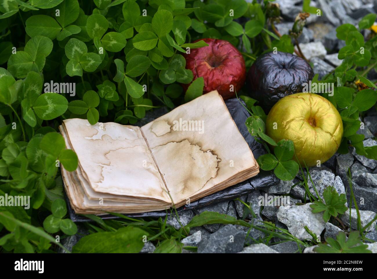 Poisonous magic apples and open diary with empty pages outdoors ...